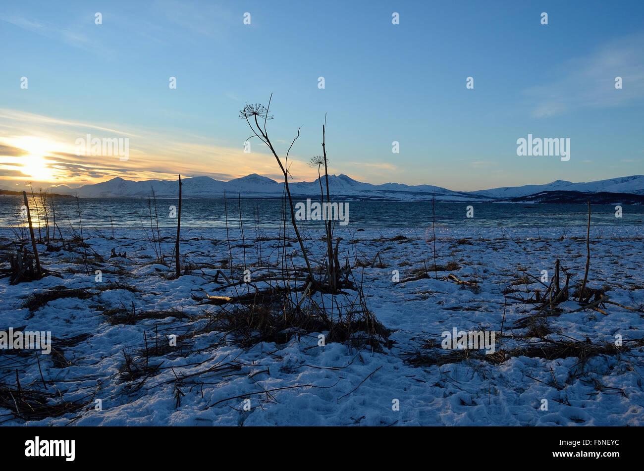 Beautiful landscape with ice covered sea shore, mighty snow covered ...