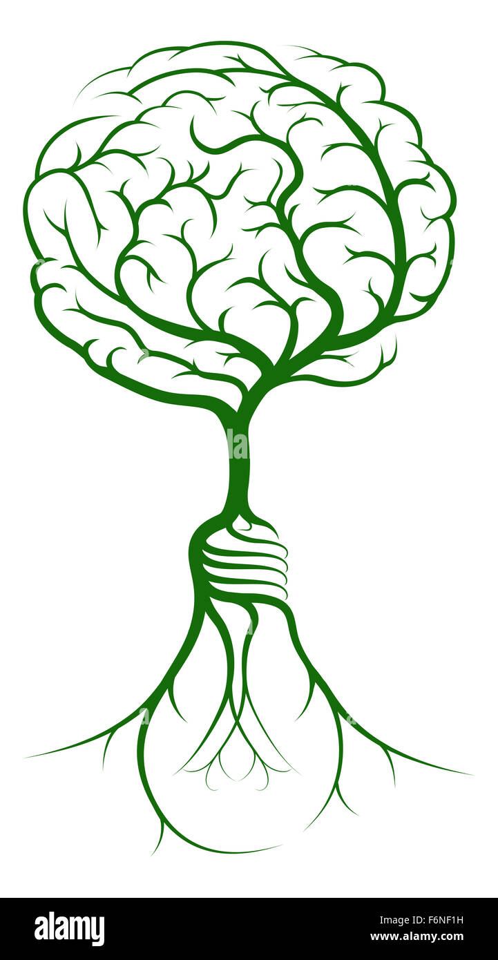 A brain shaped tree growing from lightbulb shaped roots Stock Photo - Alamy