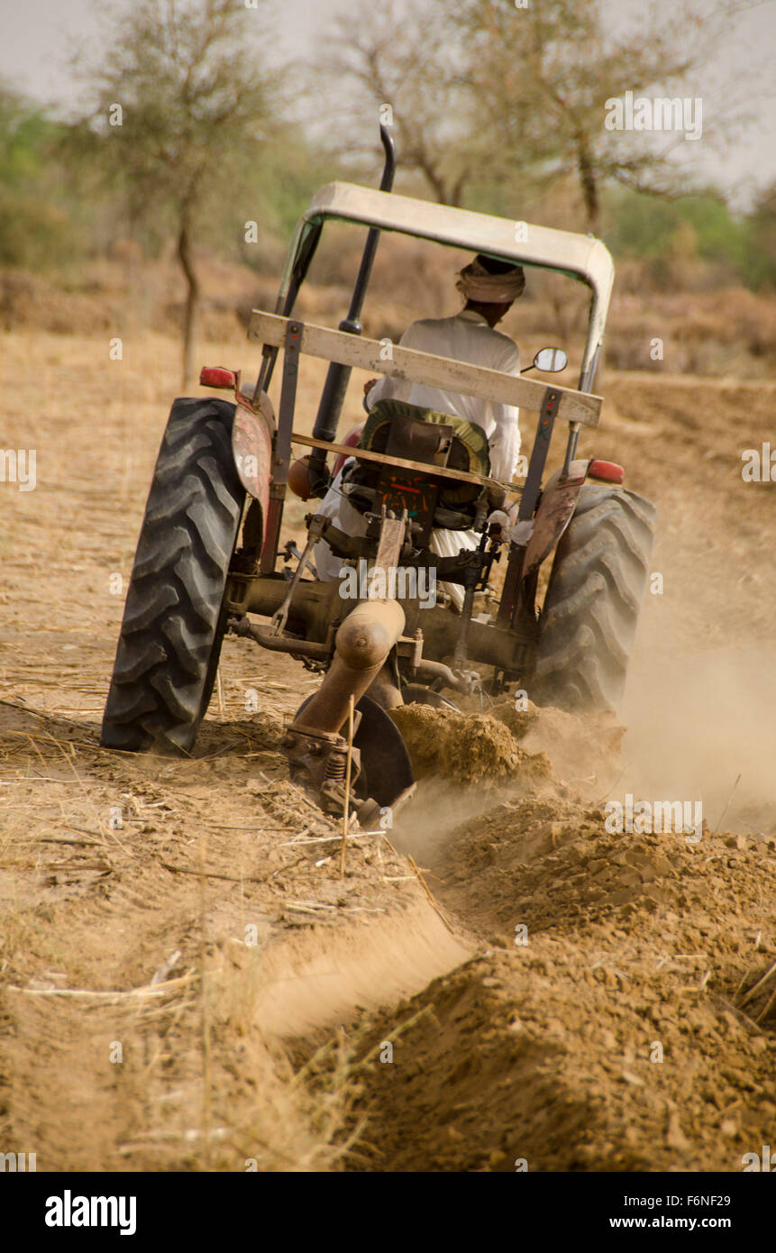 Indian Tractors In Fields