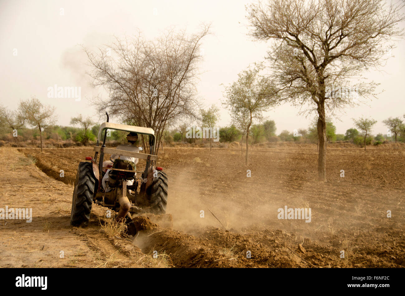 Tractor ploughing field, rajasthan, india, asia Stock Photo - Alamy