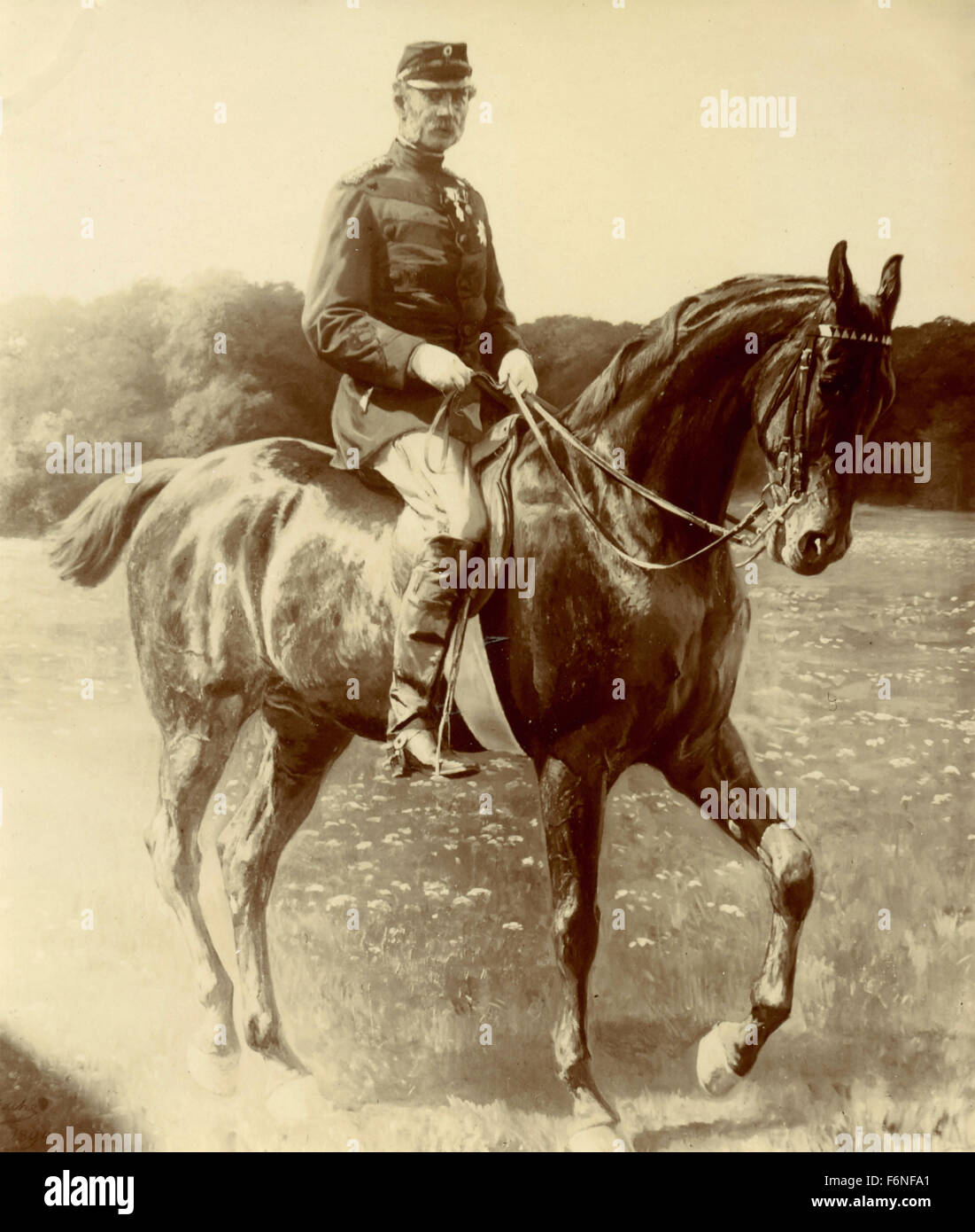 Cavalry officer, Denmark Stock Photo - Alamy