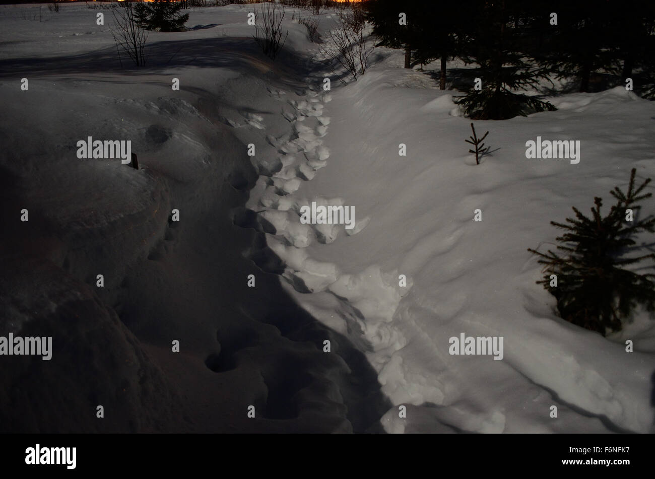 Moose tracks hi-res stock photography and images - Alamy