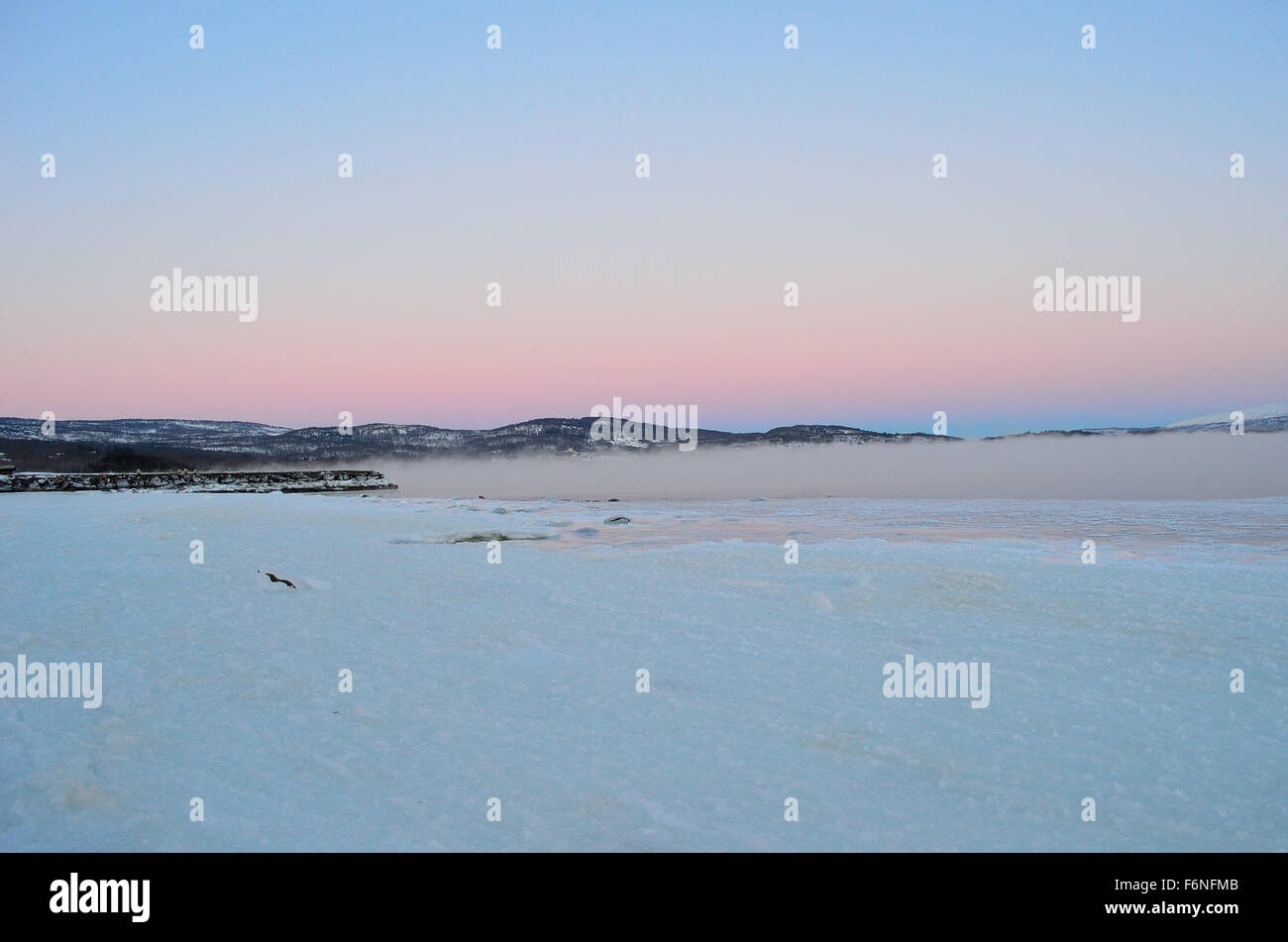 thick sea ice with cold ice frost fog and mist over water with pink ...