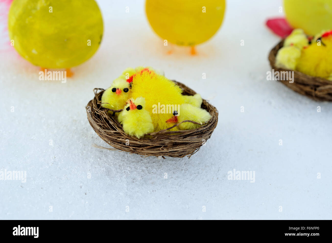Little easter chick in basket hi-res stock photography and images - Alamy