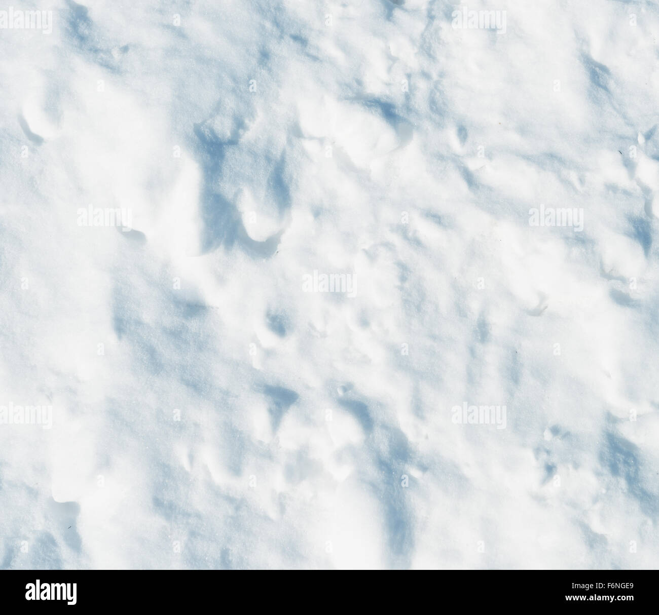 fresh snow texture Stock Photo - Alamy