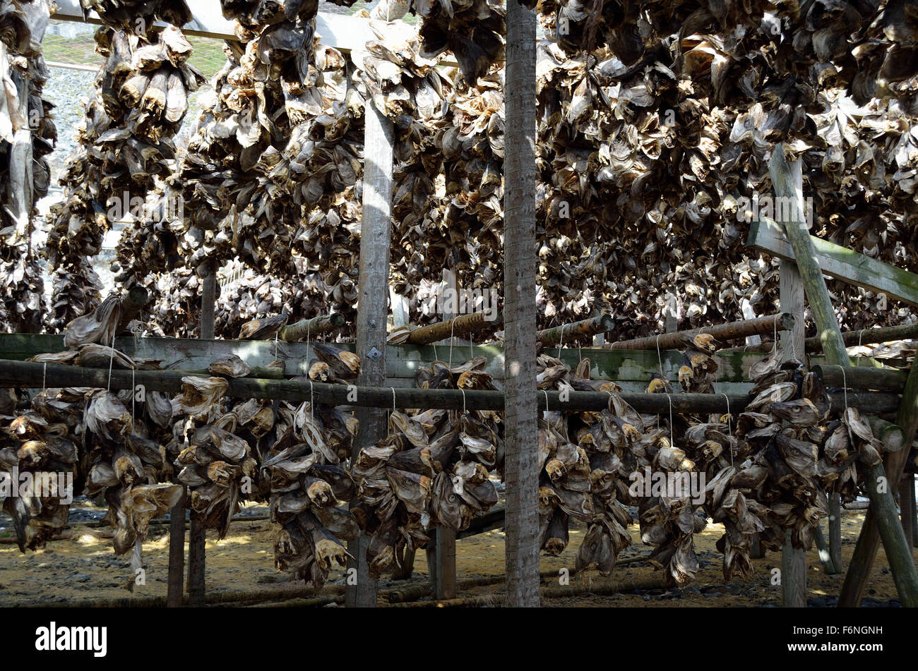 Fis circle hi-res stock photography and images - Alamy