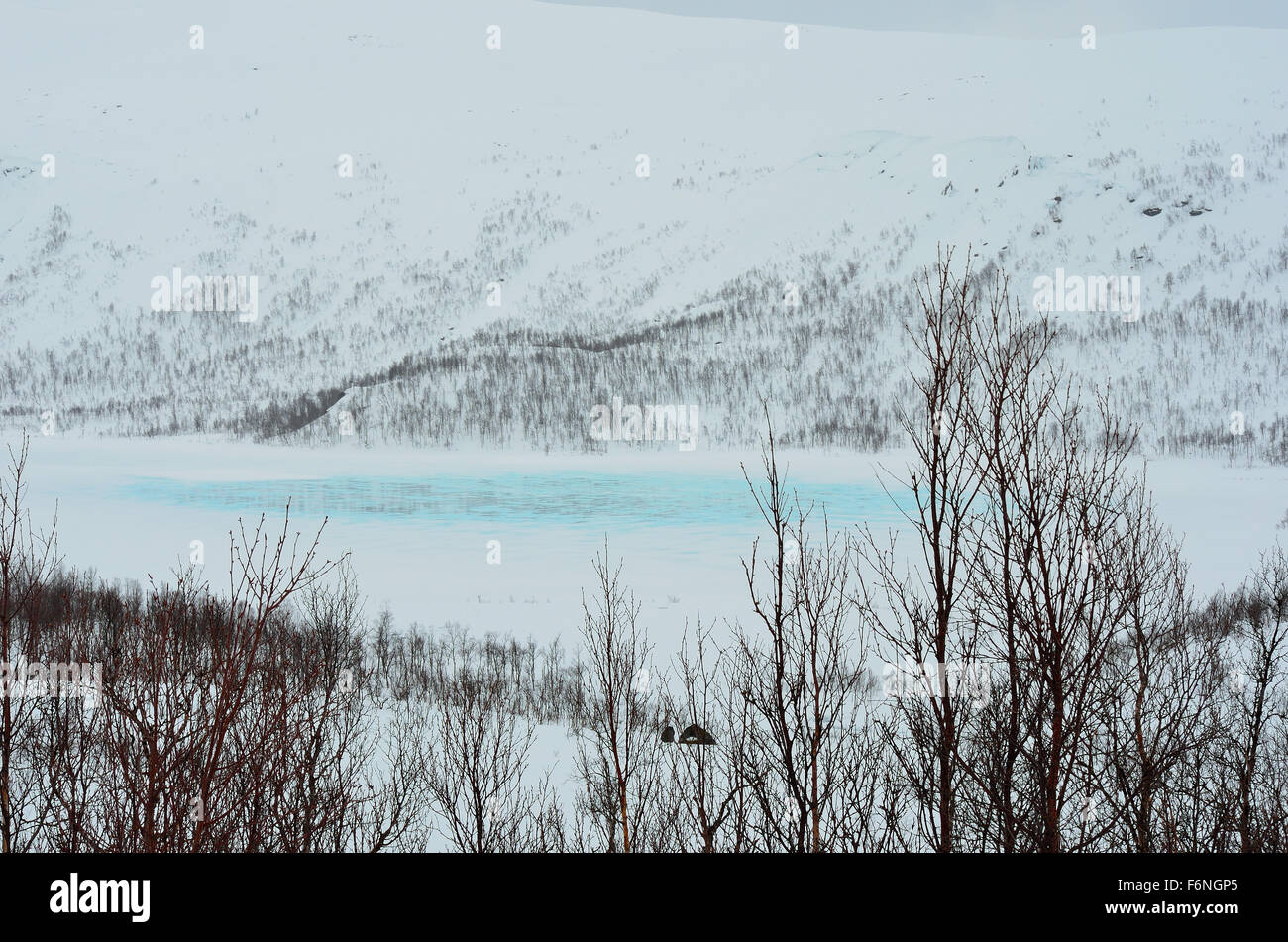 vibrant clear blue ice under mountain in winter landscape Stock Photo ...
