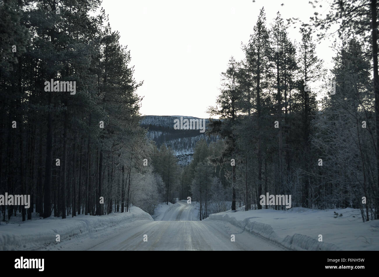 Long forest road surrounded by frost and ice covered forest Stock Photo ...