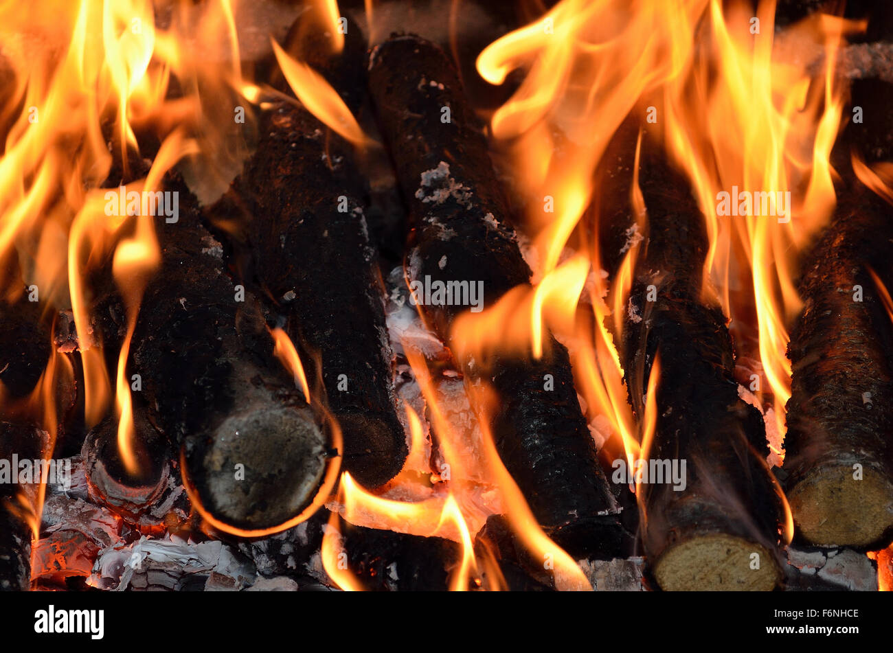 Hot vivid burning birch logs in fireplace on a cold winter day Stock ...