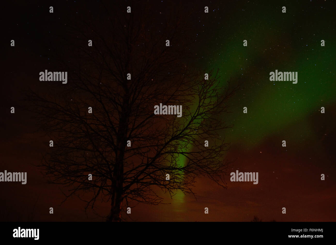 aurora borealis, northern light on a fire red sky in the arctic circle ...