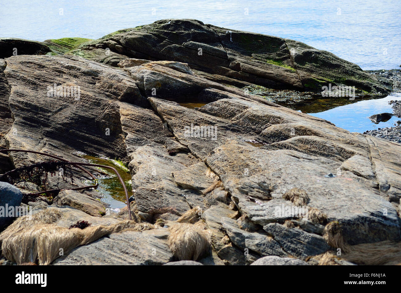 smooth sea shore rock side Stock Photo - Alamy
