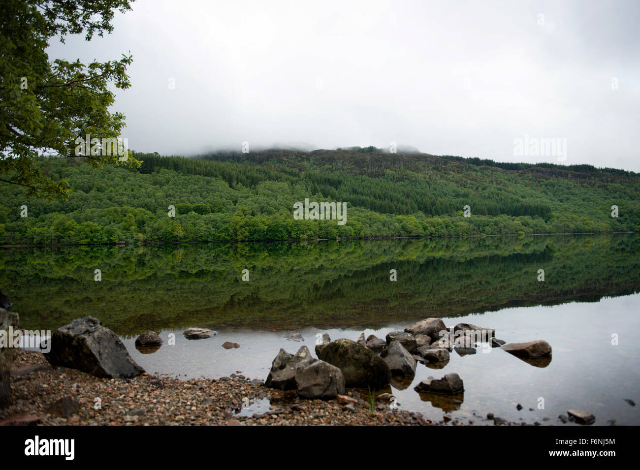 Loch arkaig forest hi-res stock photography and images - Alamy