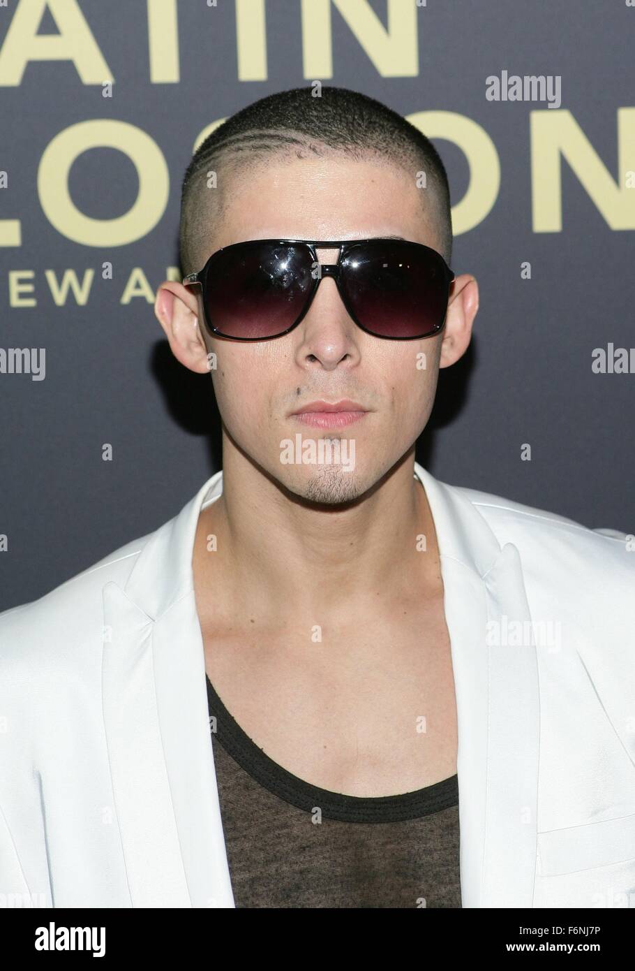 Las Vegas, NV, USA. 17th Nov, 2015. Jesse Menendez at arrivals for THE ...