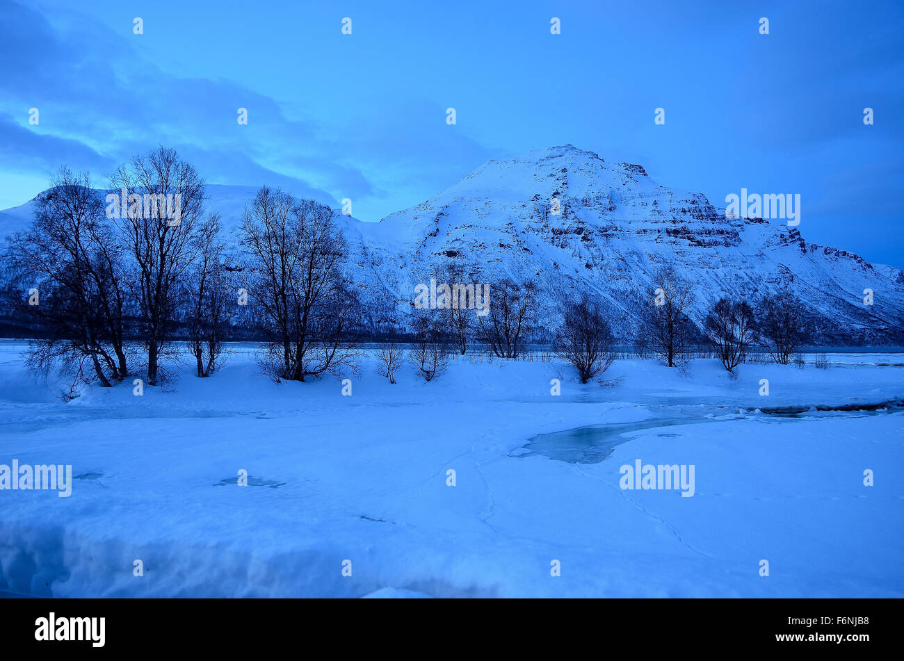 tree line in front of blue river water and ice and snow mountain ...