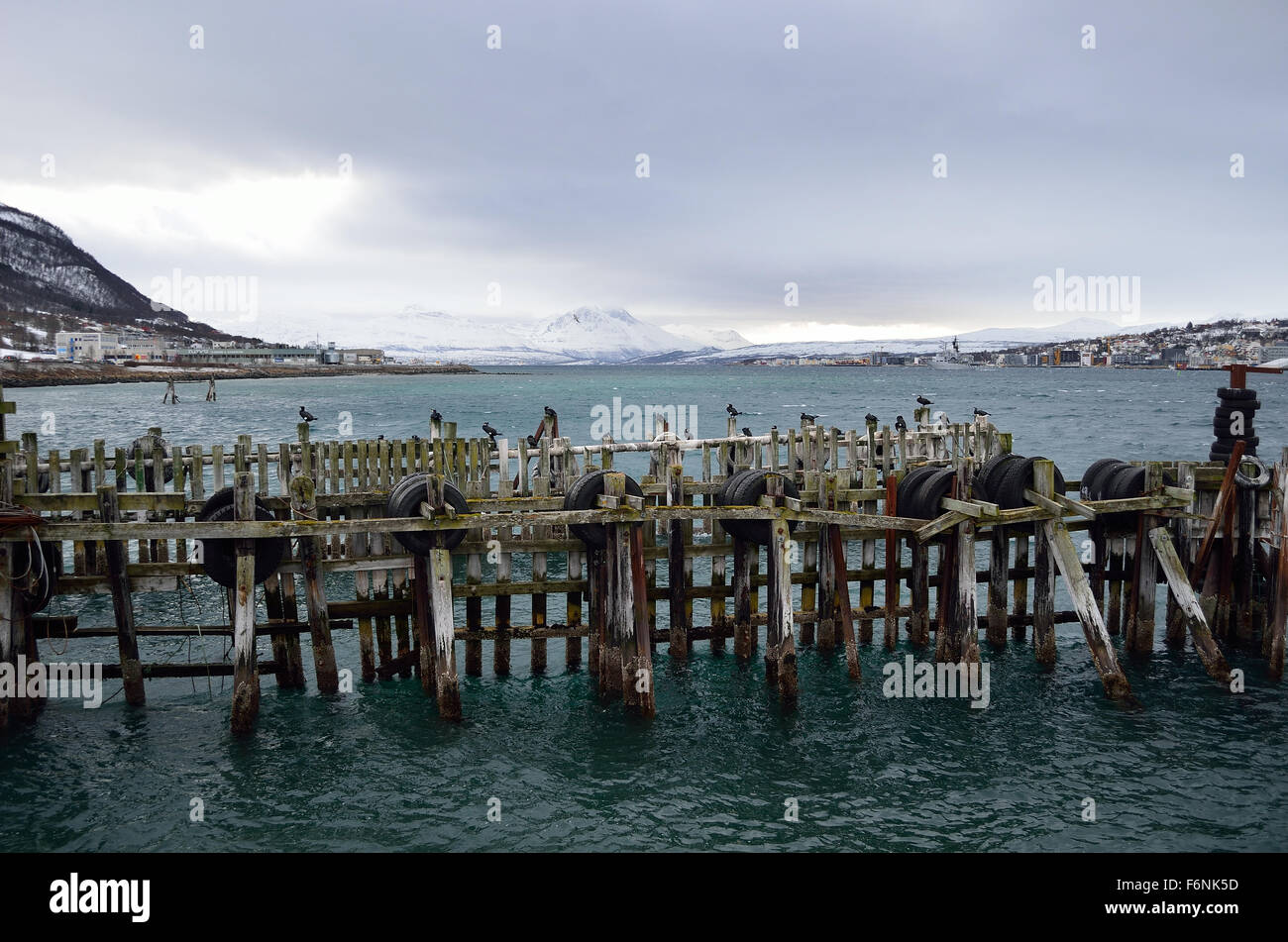 big cormorant birds sitting on an old wooden pier on blue cold fjord ...