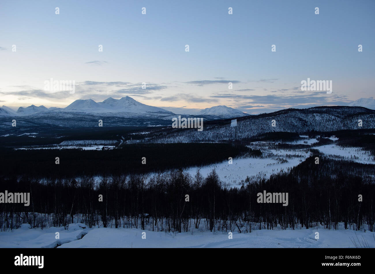 majestic deep snowy forest landscape with cold snowy white mountain in ...
