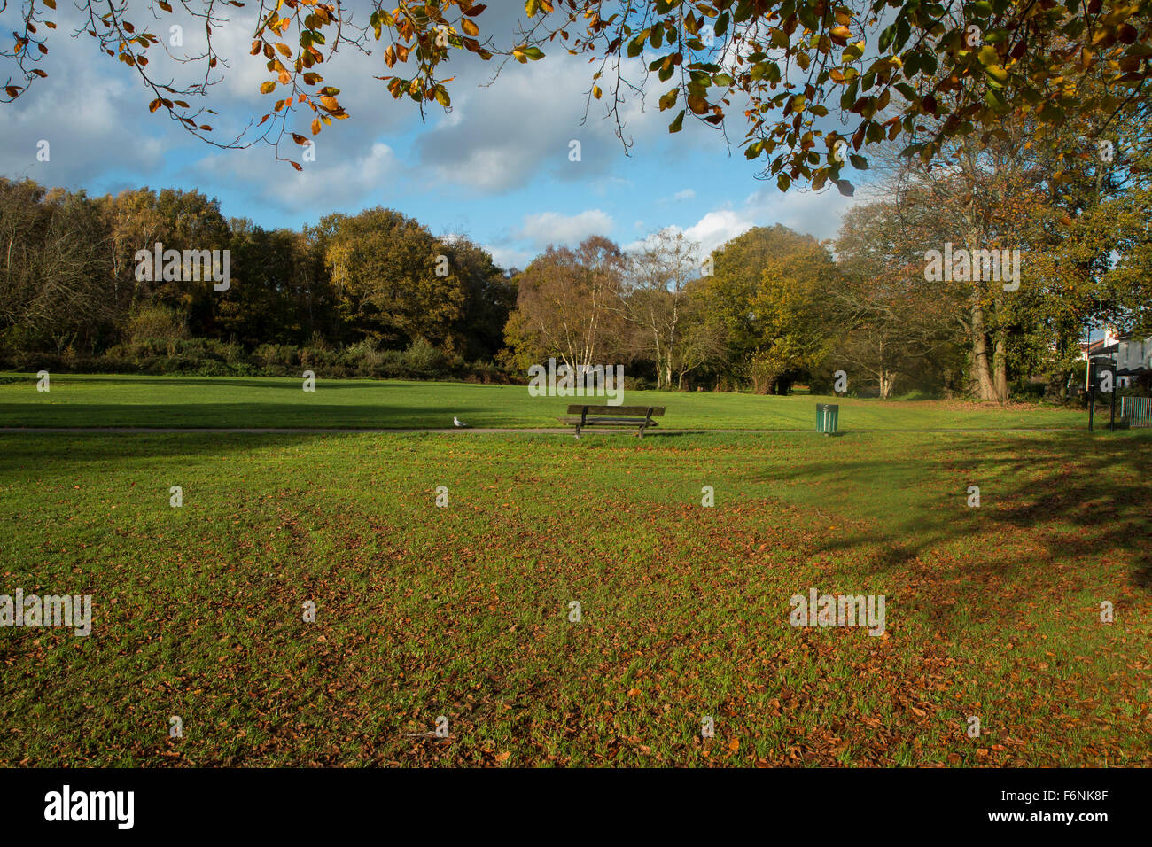 Highfield southampton hi-res stock photography and images - Alamy