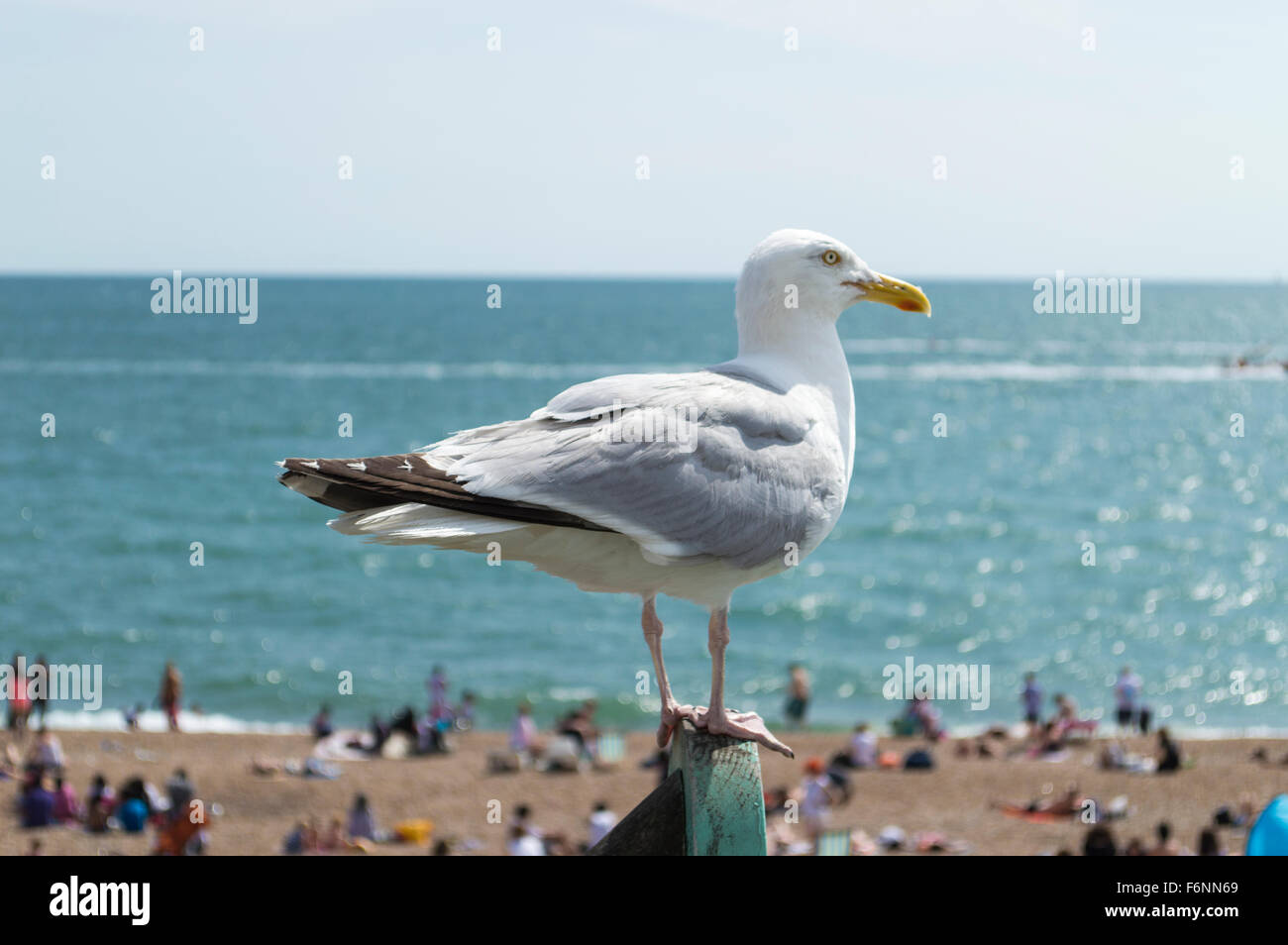 Feet on pebbles hi-res stock photography and images - Alamy