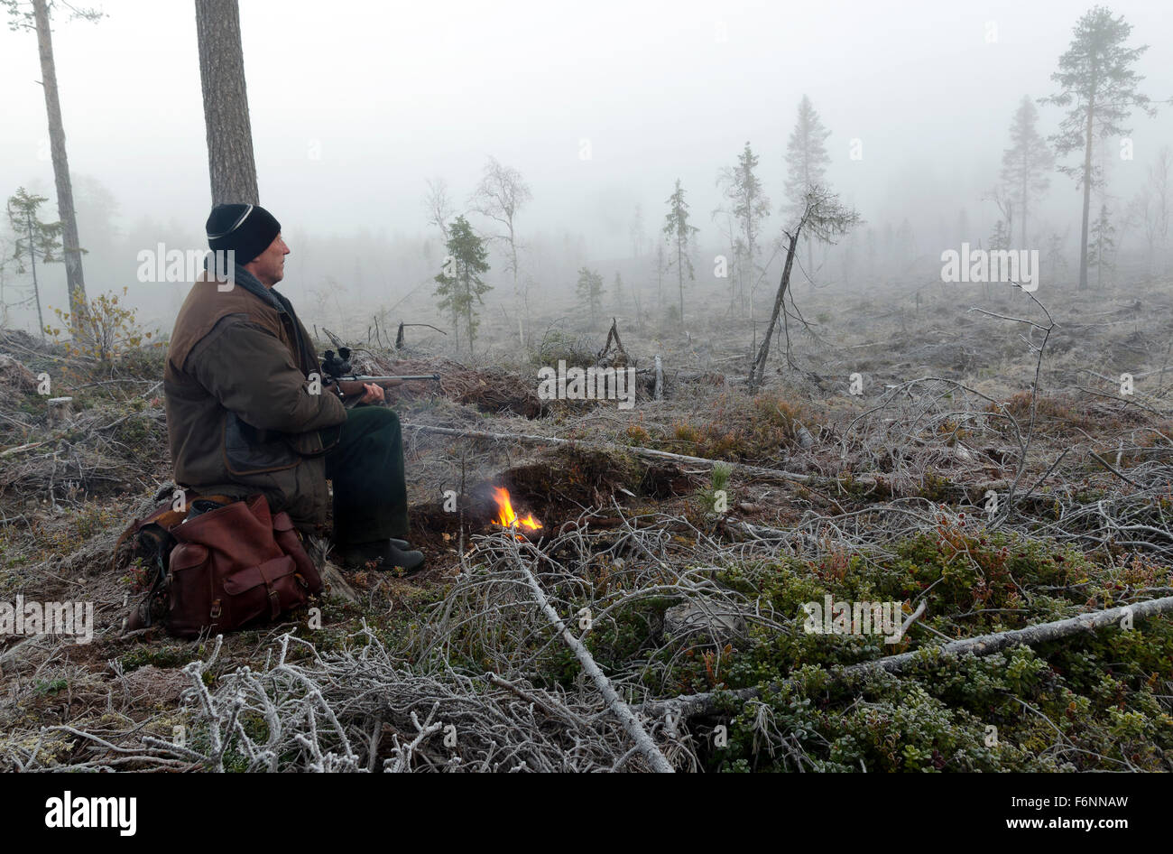 Picture from right of a Moose hunter sitting on a stump early in the ...
