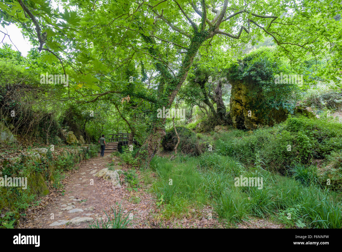 Mili gorge crete hi-res stock photography and images - Alamy