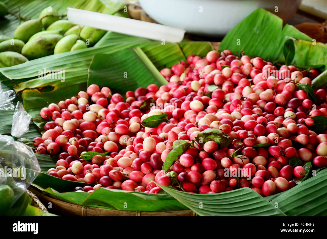 Karonda High Resolution Stock Photography and Images - Alamy