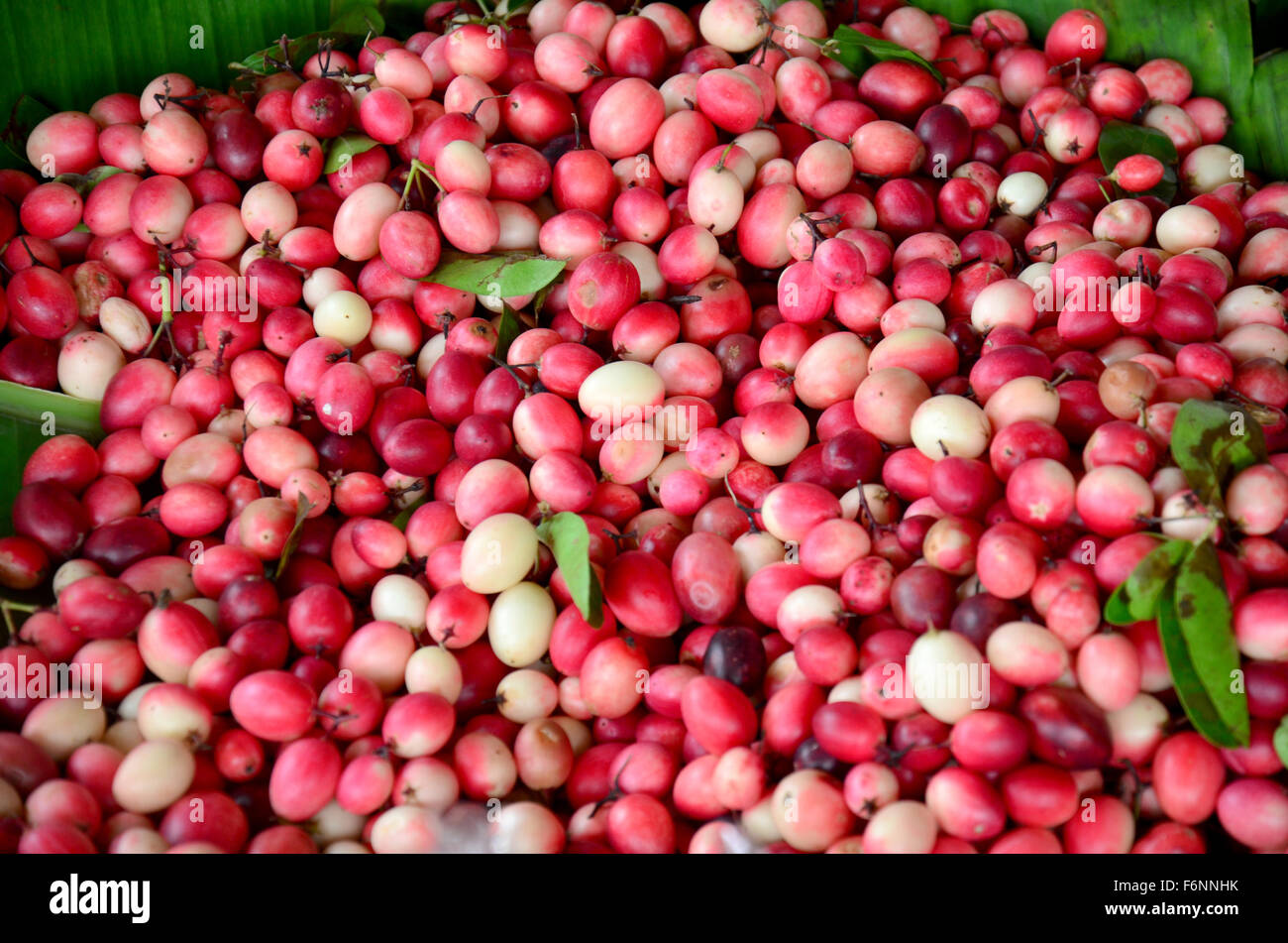 Karonda fruits hi-res stock photography and images - Alamy
