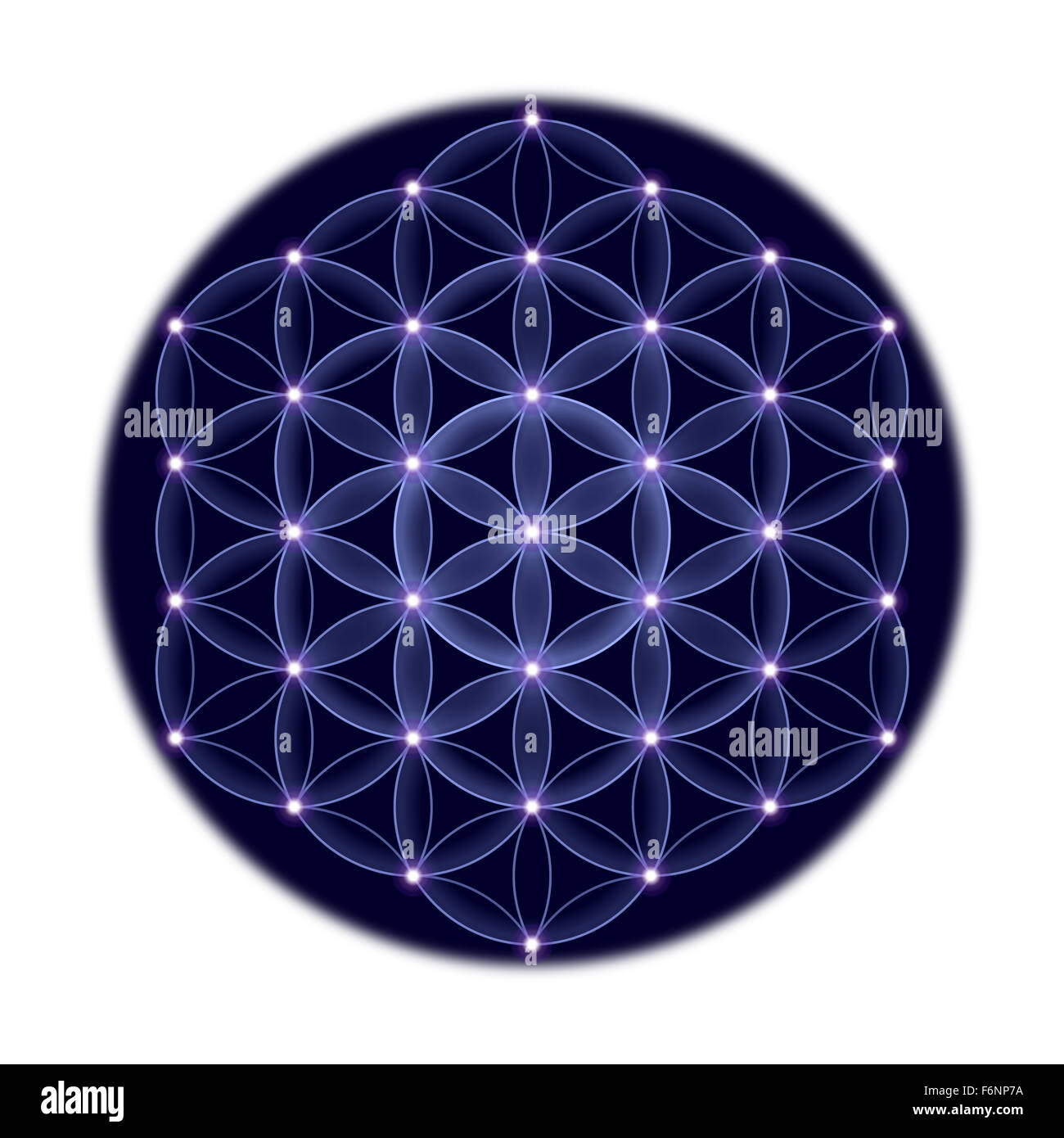 Cosmic Flower of Life with stars on white background, a spiritual ...