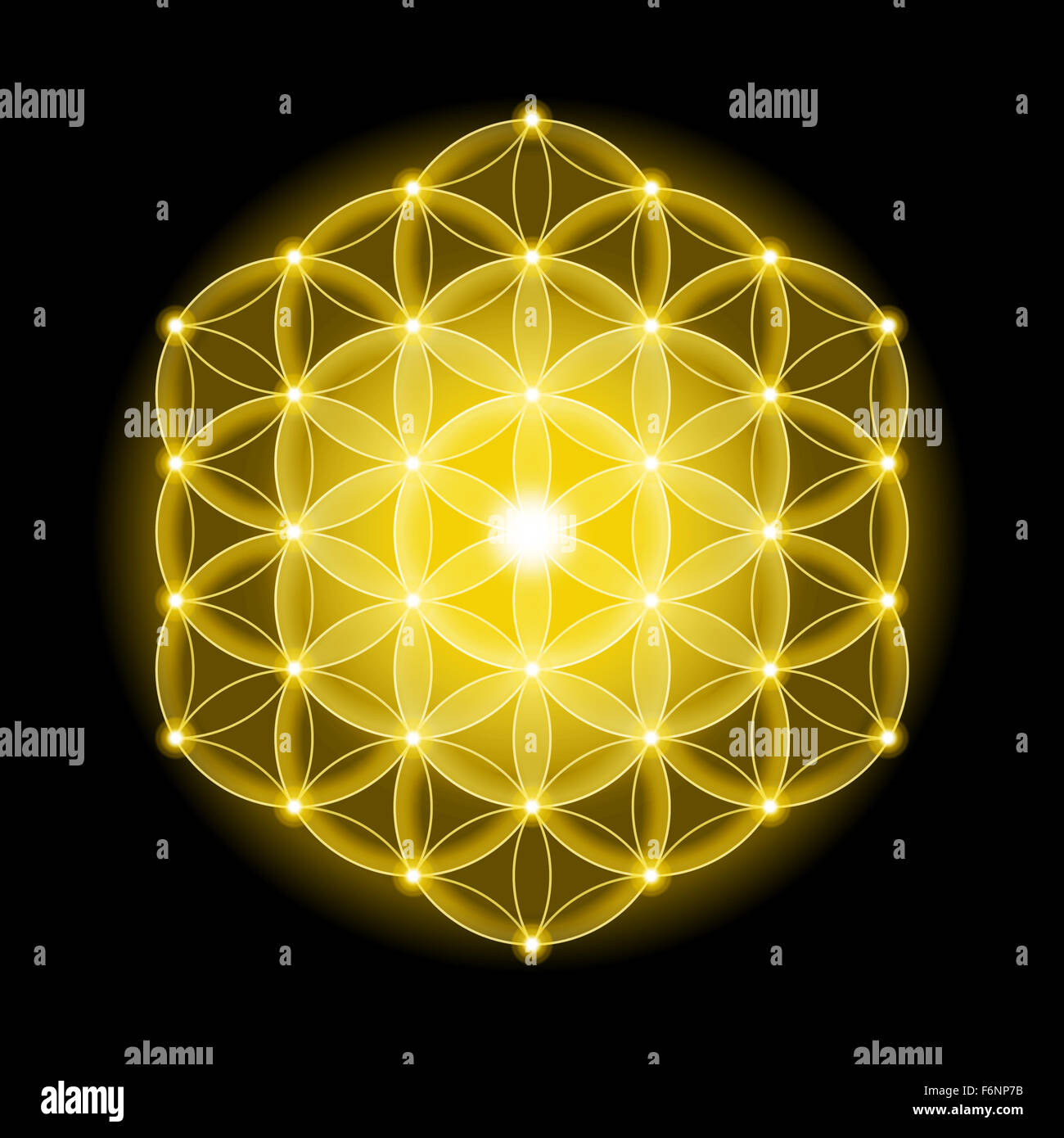 Golden cosmic Flower of Life with stars on black background, a ...