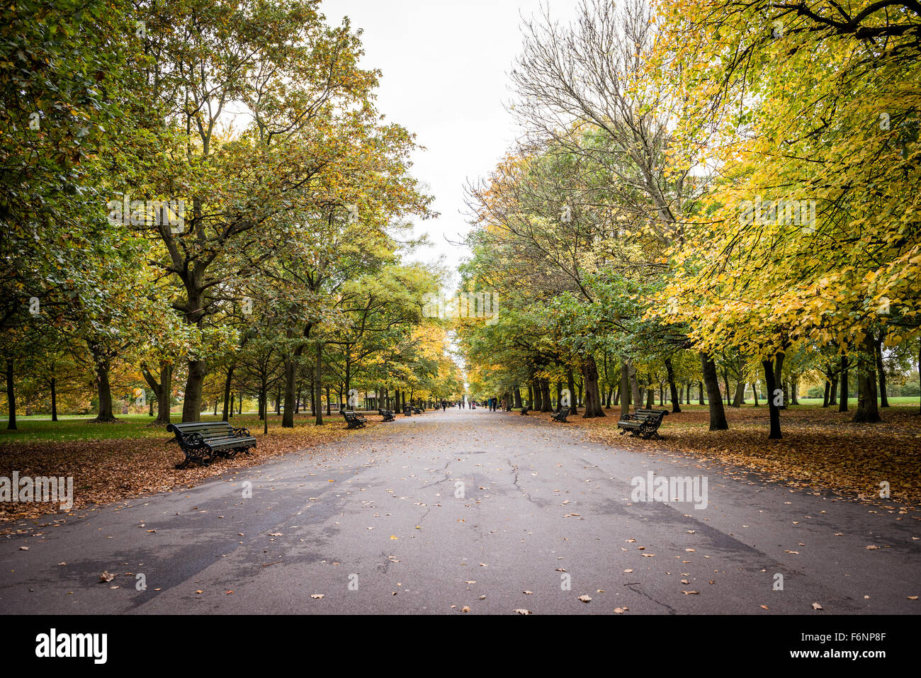 Regents Park, London in the Autumn Stock Photo - Alamy