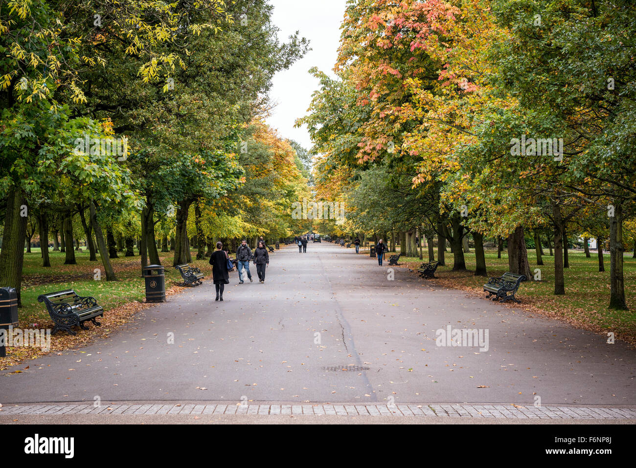 Regents Park, London in the Autumn Stock Photo - Alamy