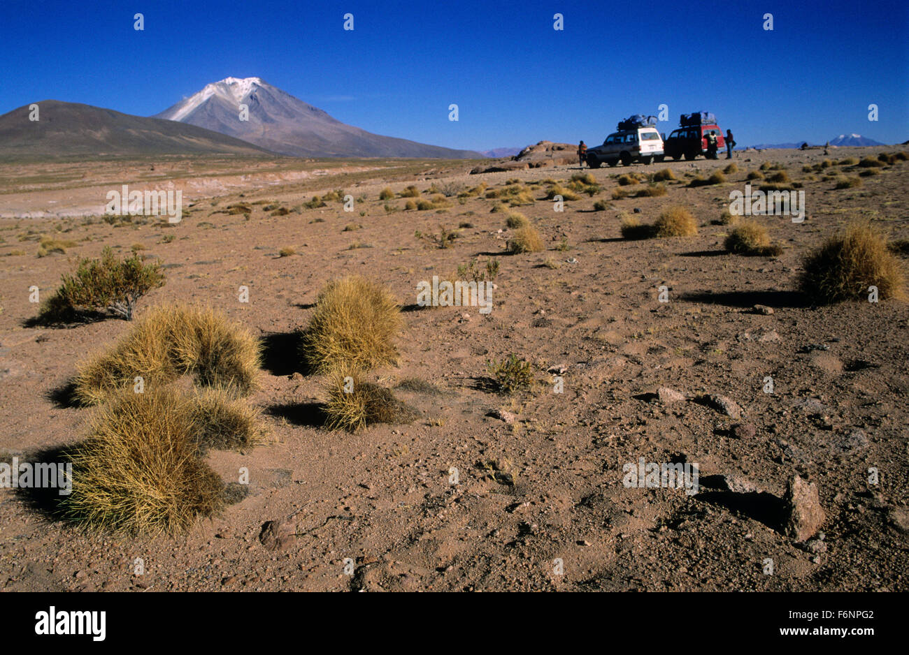 Reserva nacional eduardo avaroa hi-res stock photography and images - Alamy