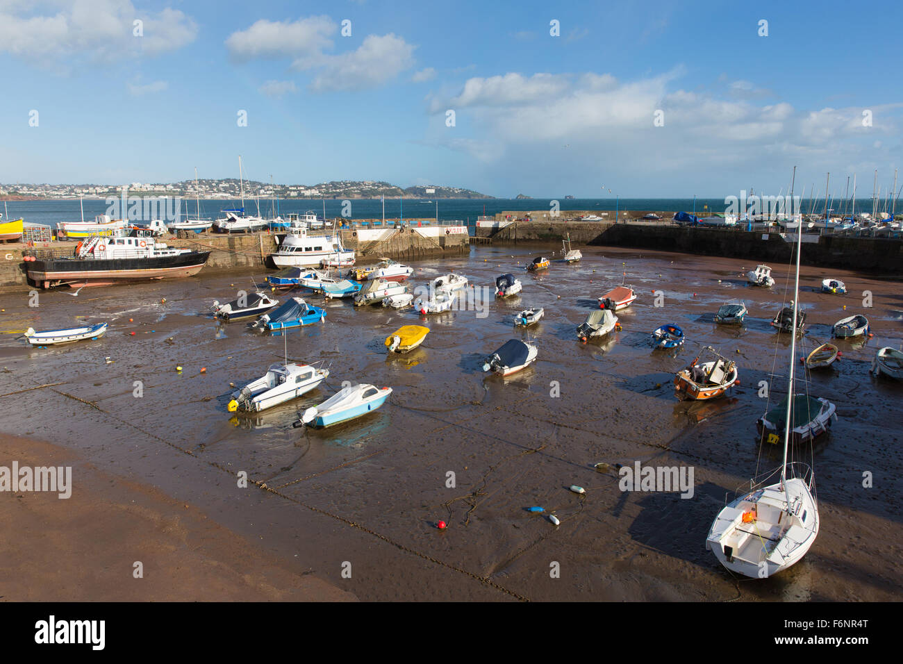 Paignton harbour Devon England uk at low tide with view towards tourist ...