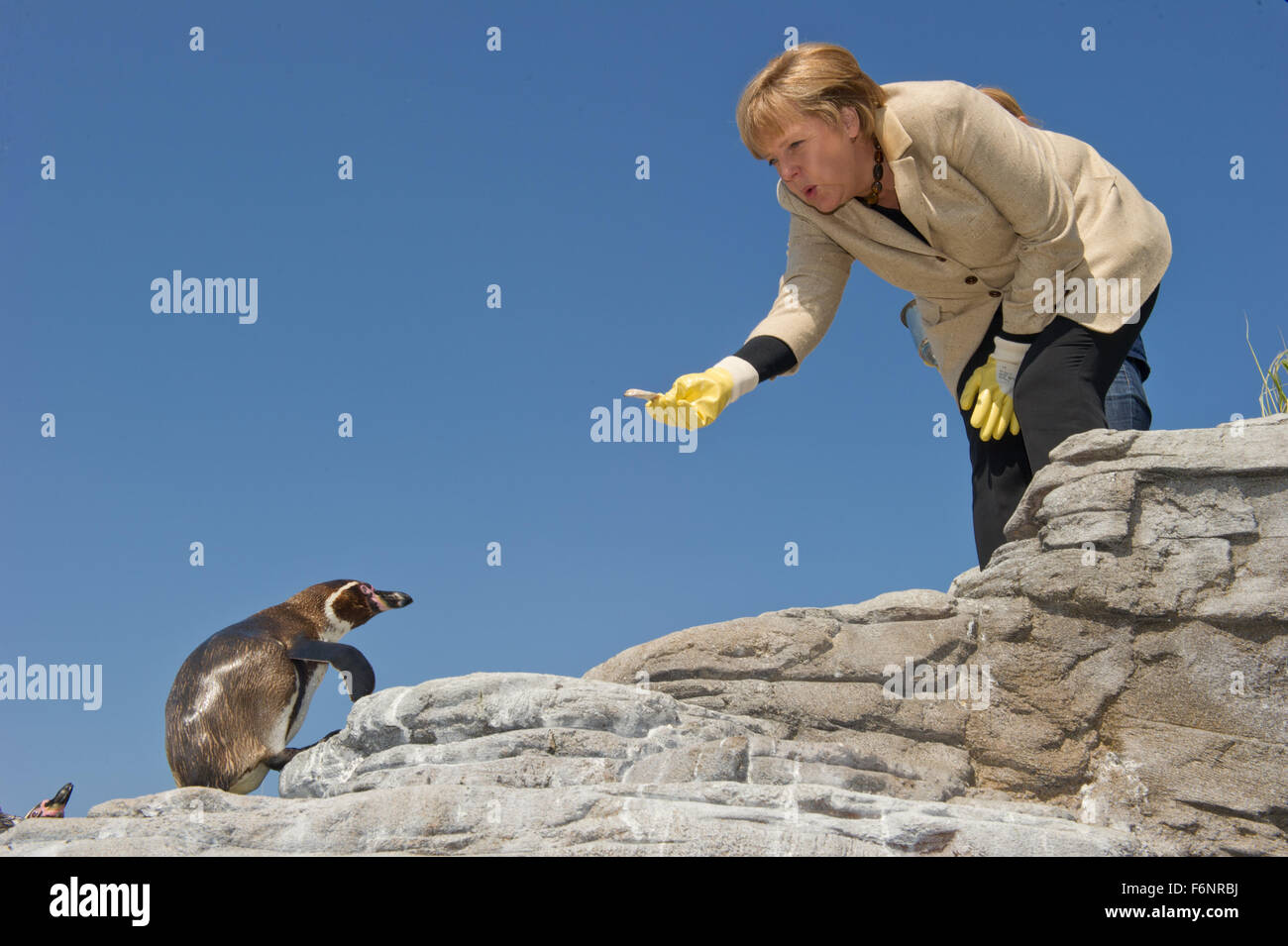 FILE - An archive picture dated 06 May 2011 shows German Chancellor ...