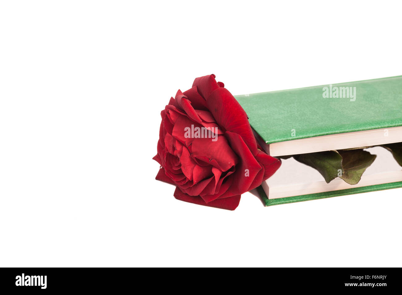 book and red rose isolated on white Stock Photo - Alamy
