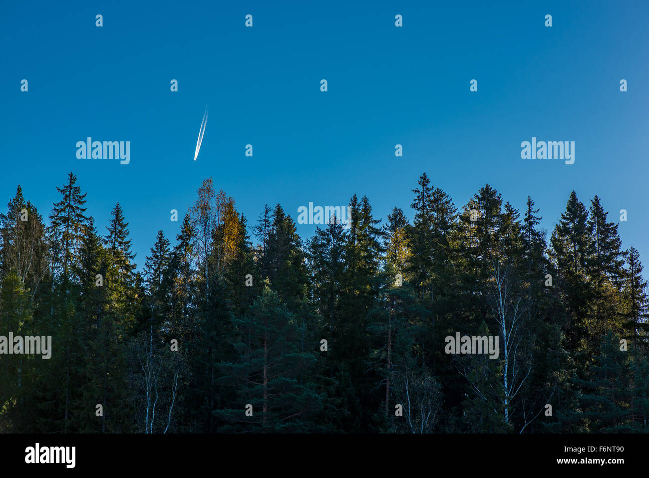Airplane flying in blue sky over forest Stock Photo - Alamy