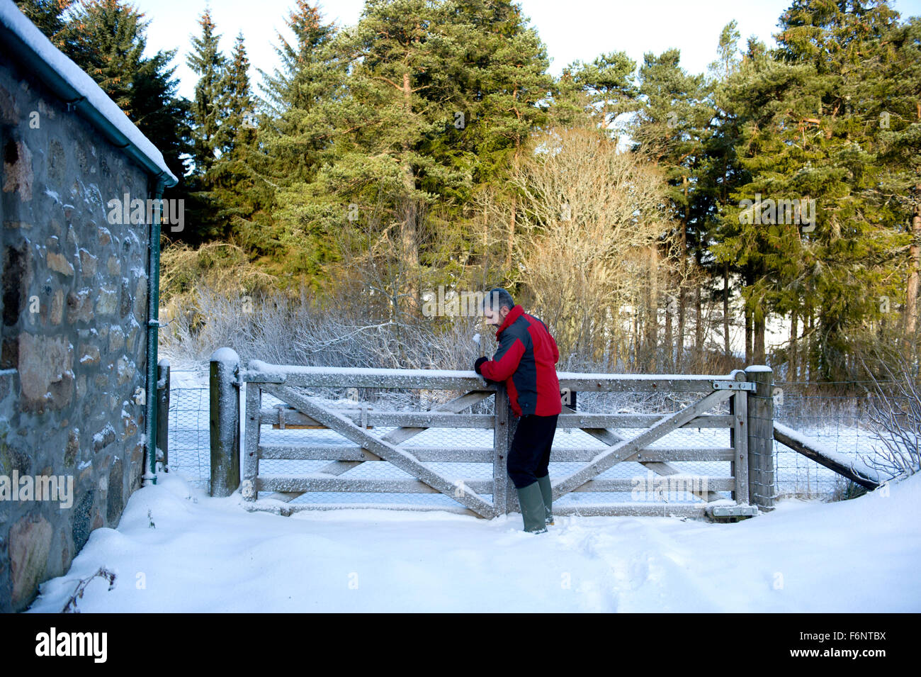 A man struggles to open a snow covered gate after heavy overnight snow ...