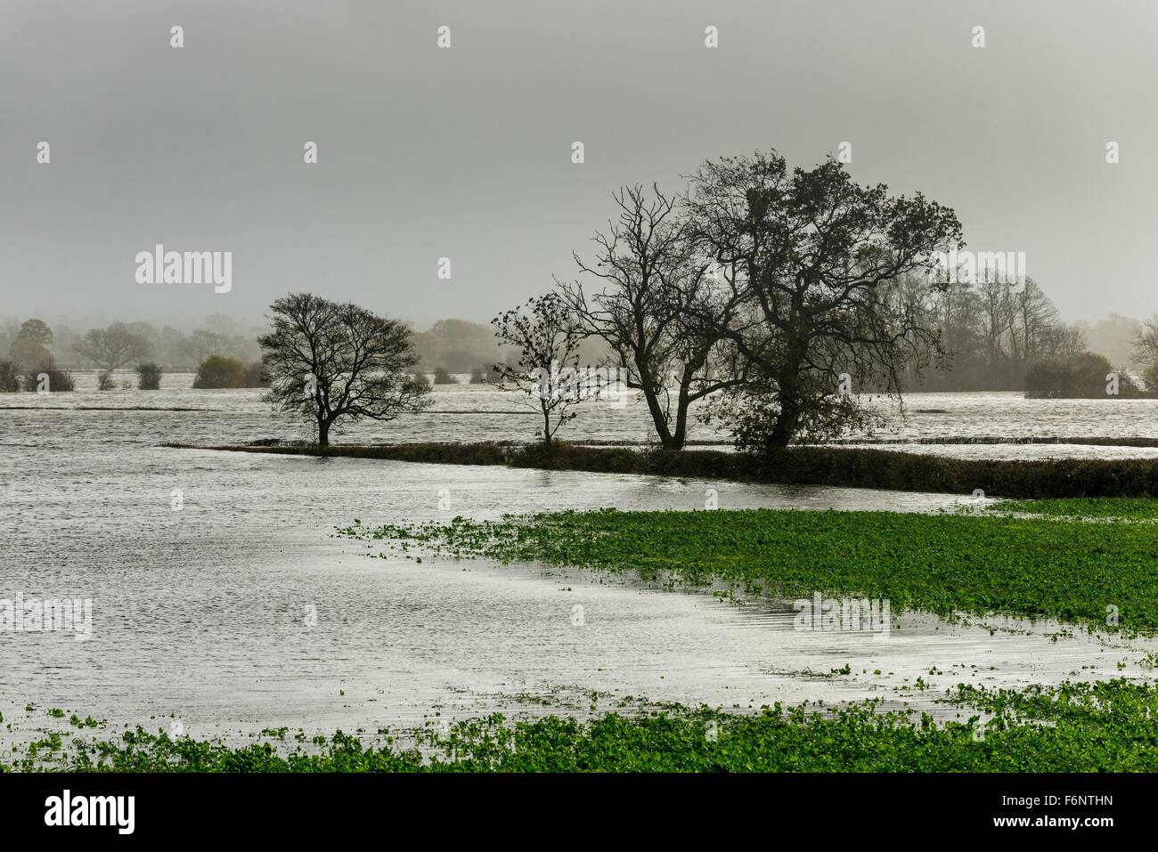 Flooding river dee hi-res stock photography and images - Alamy