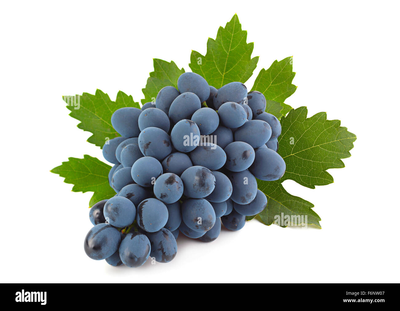 Blue grape fruit with leaf isolated on white Stock Photo - Alamy