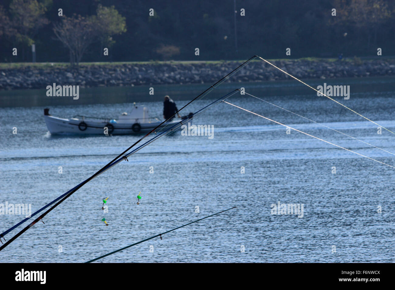 Close view of backlit fishing lines and rods with clamp-on alarm bells ...