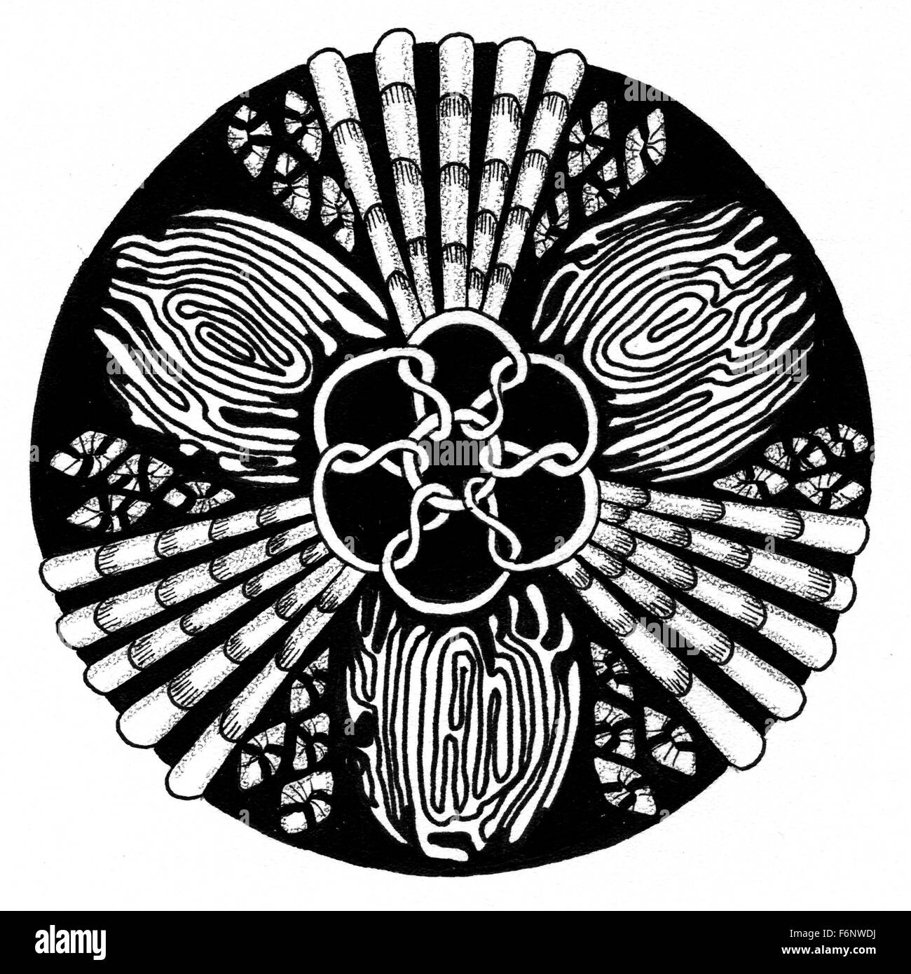 Zendala - mandala of zentangle Stock Photo - Alamy