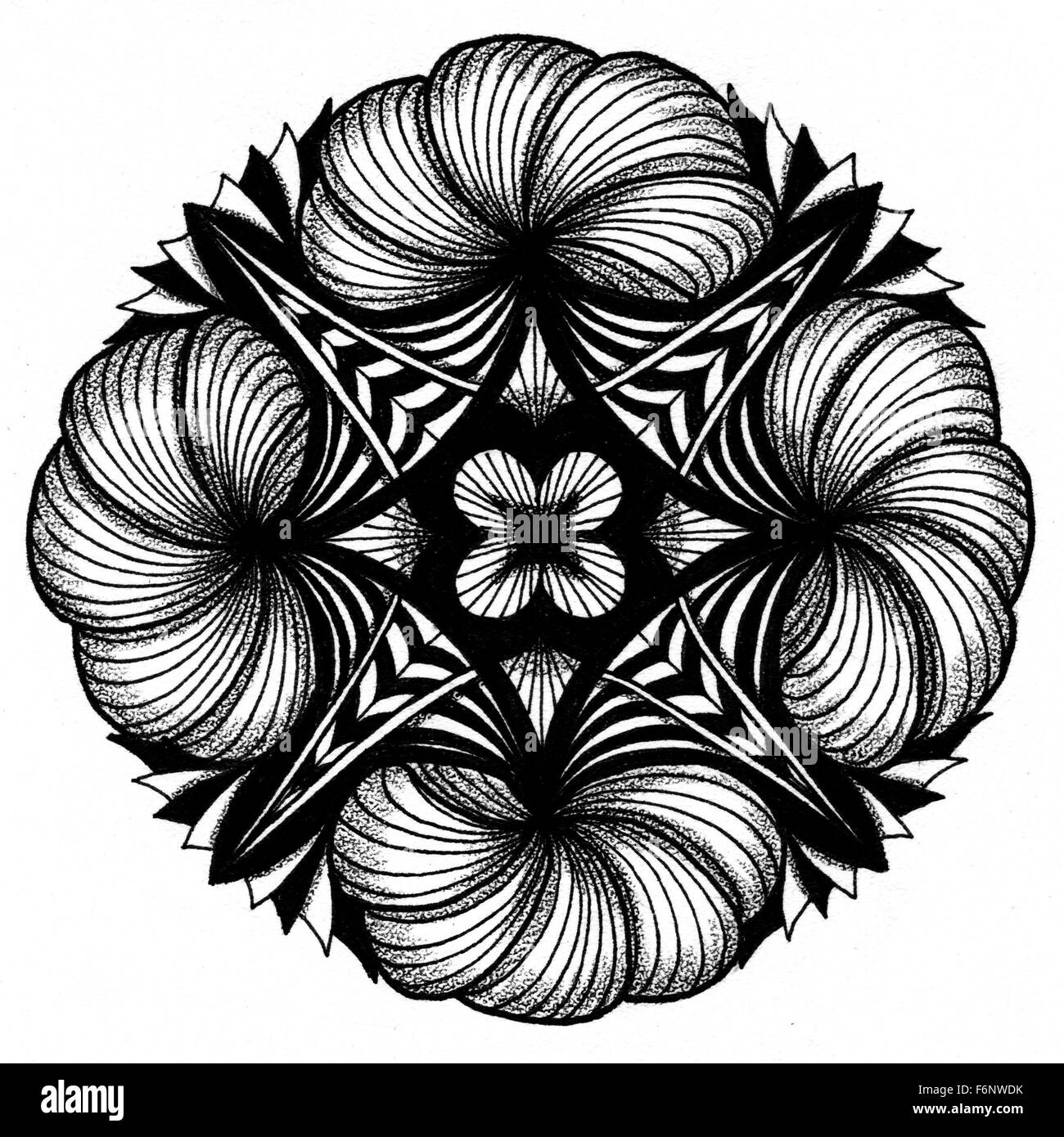 Zentangle painted pattern graphic hi-res stock photography and images ...