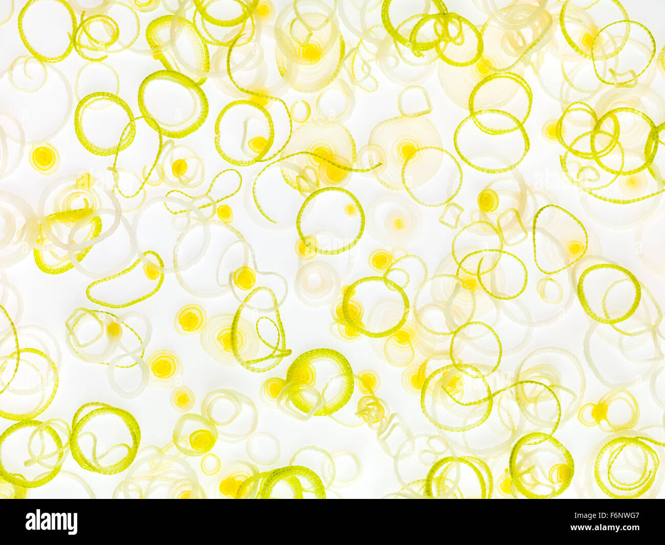 Green onion slices hi-res stock photography and images - Alamy