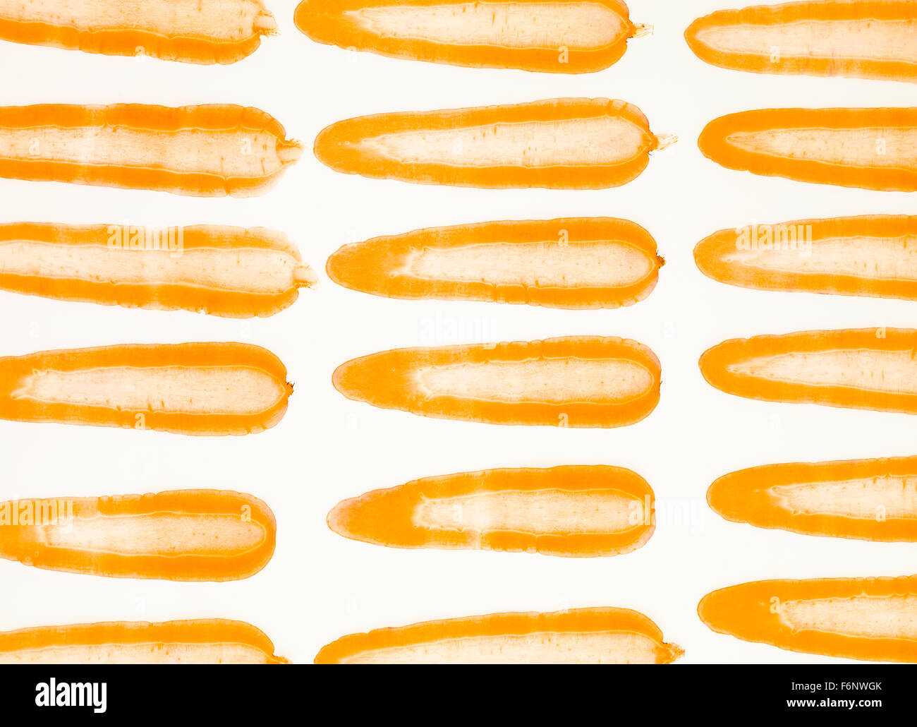 Slice carrot cross section backlit hi-res stock photography and images ...