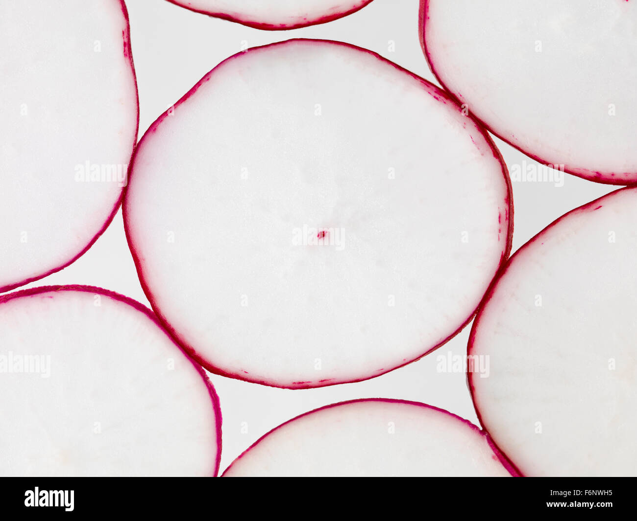texture of thin radish slices backlit illuminated Stock Photo - Alamy