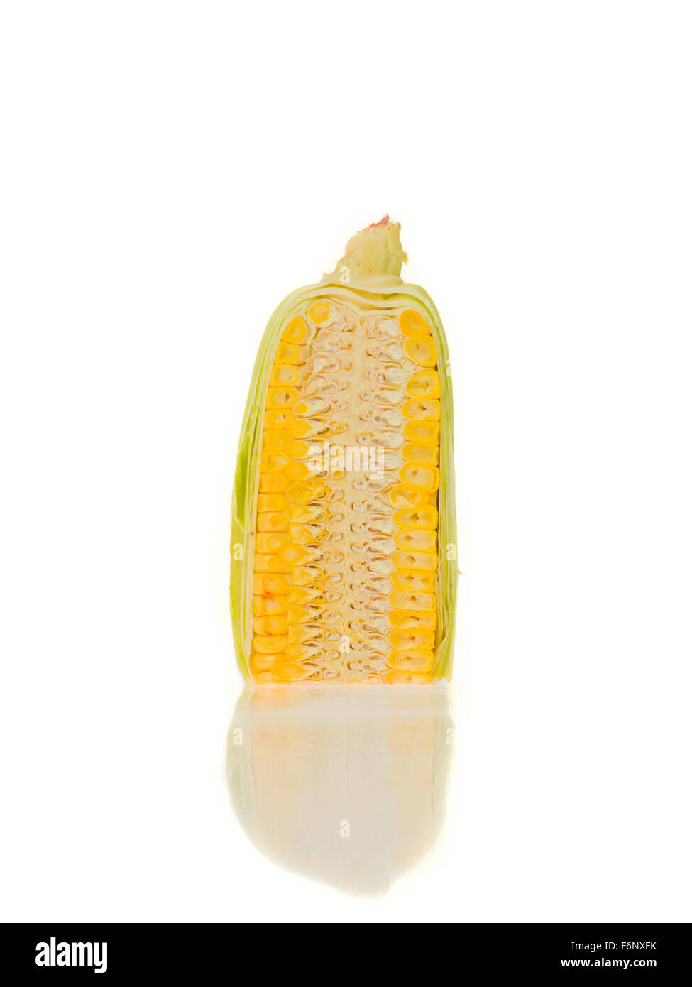 Corn cross section Cut Out Stock Images & Pictures - Alamy