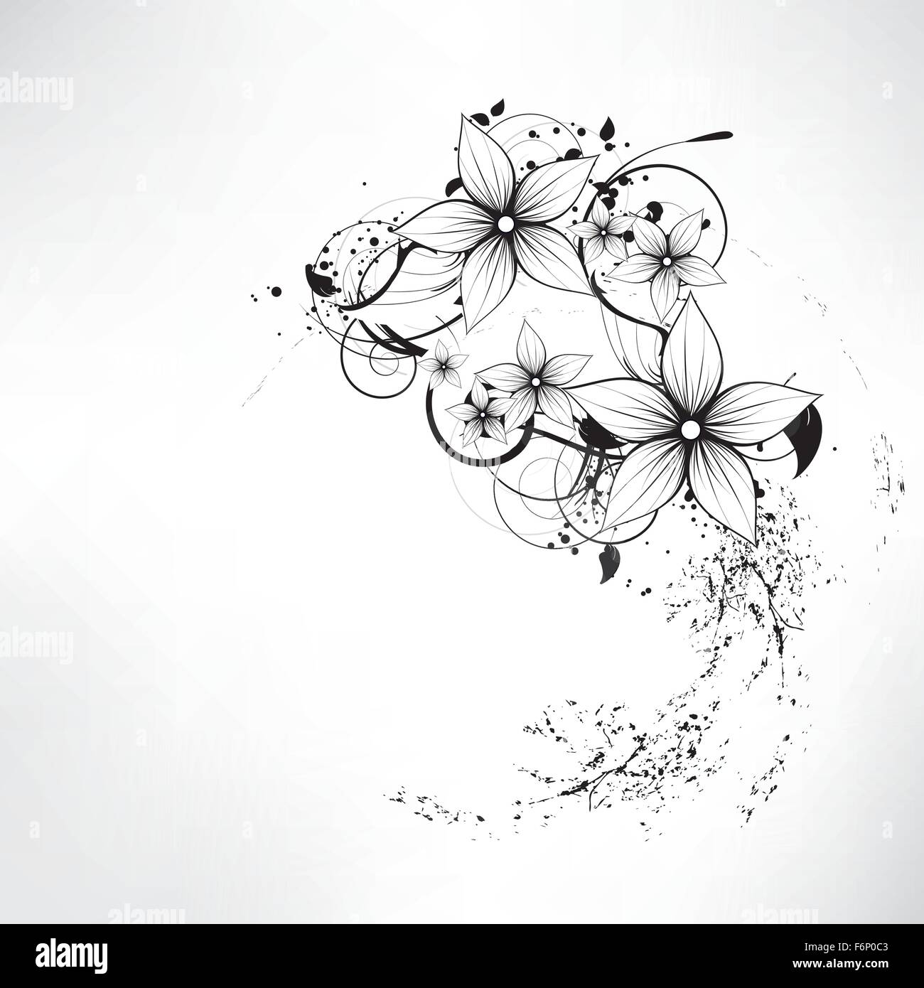 vector floral design element Stock Vector Image & Art - Alamy