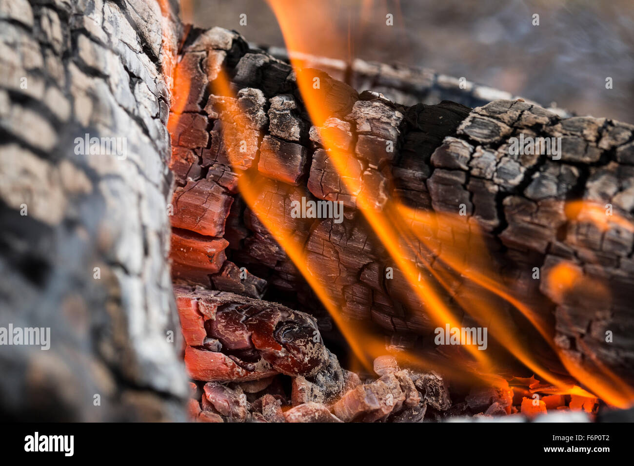 camp fire flame and carbons Stock Photo - Alamy