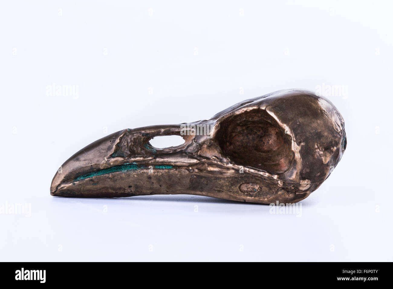 isolated brass crow scull Stock Photo - Alamy