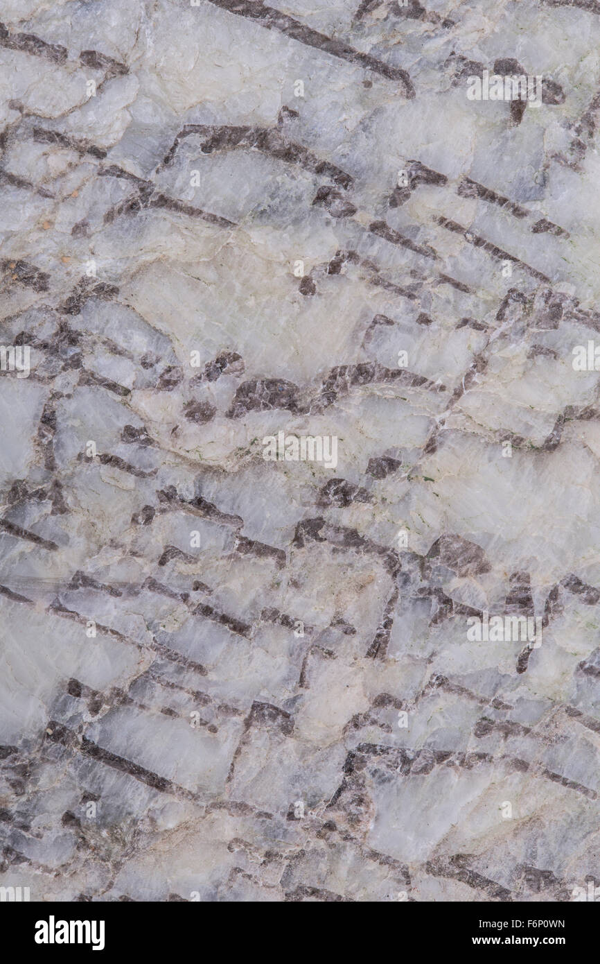 White color polished marble hi-res stock photography and images - Alamy