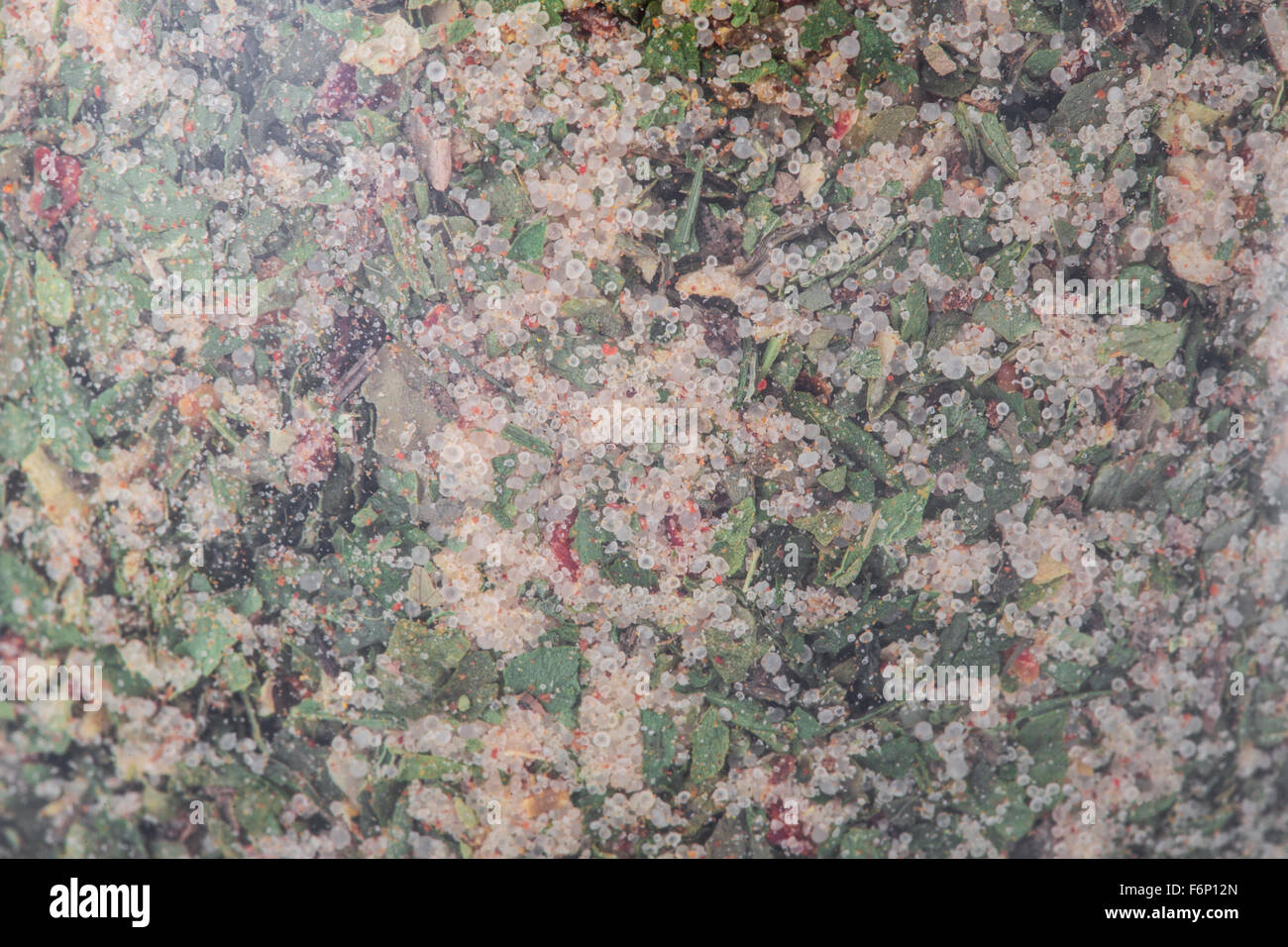salt and dry vegetables Stock Photo - Alamy